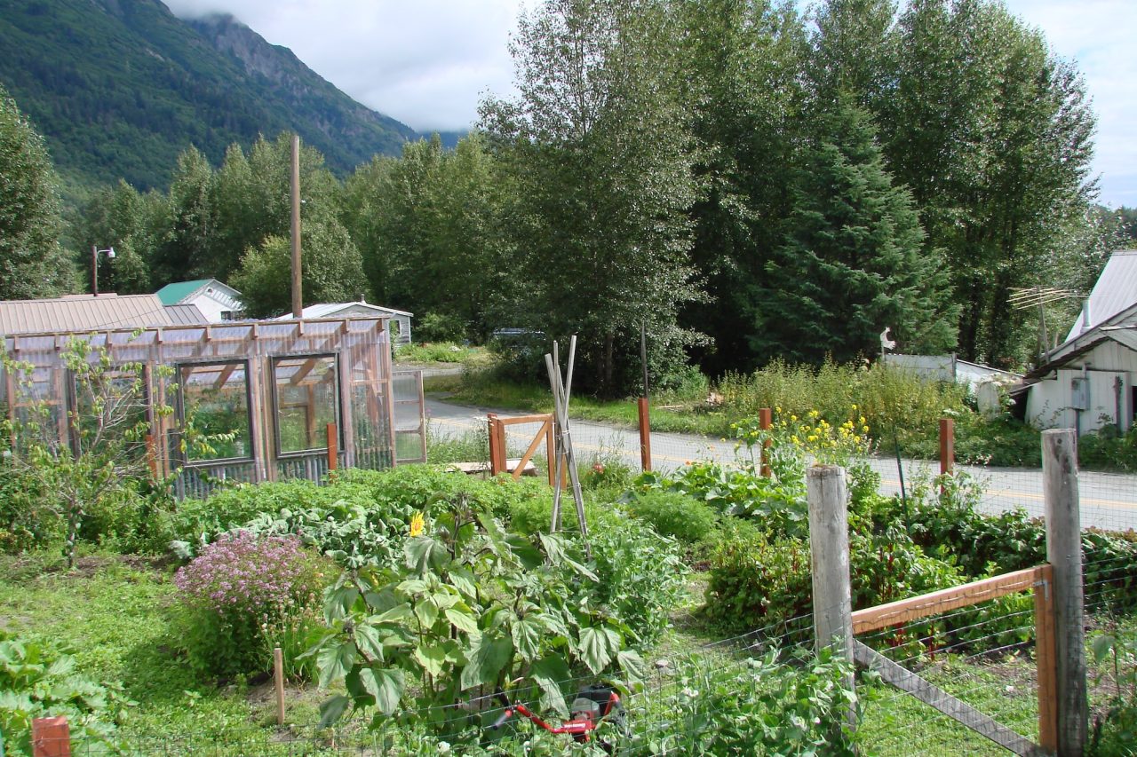 Chilkat Indian Village | Klukwan Alaska